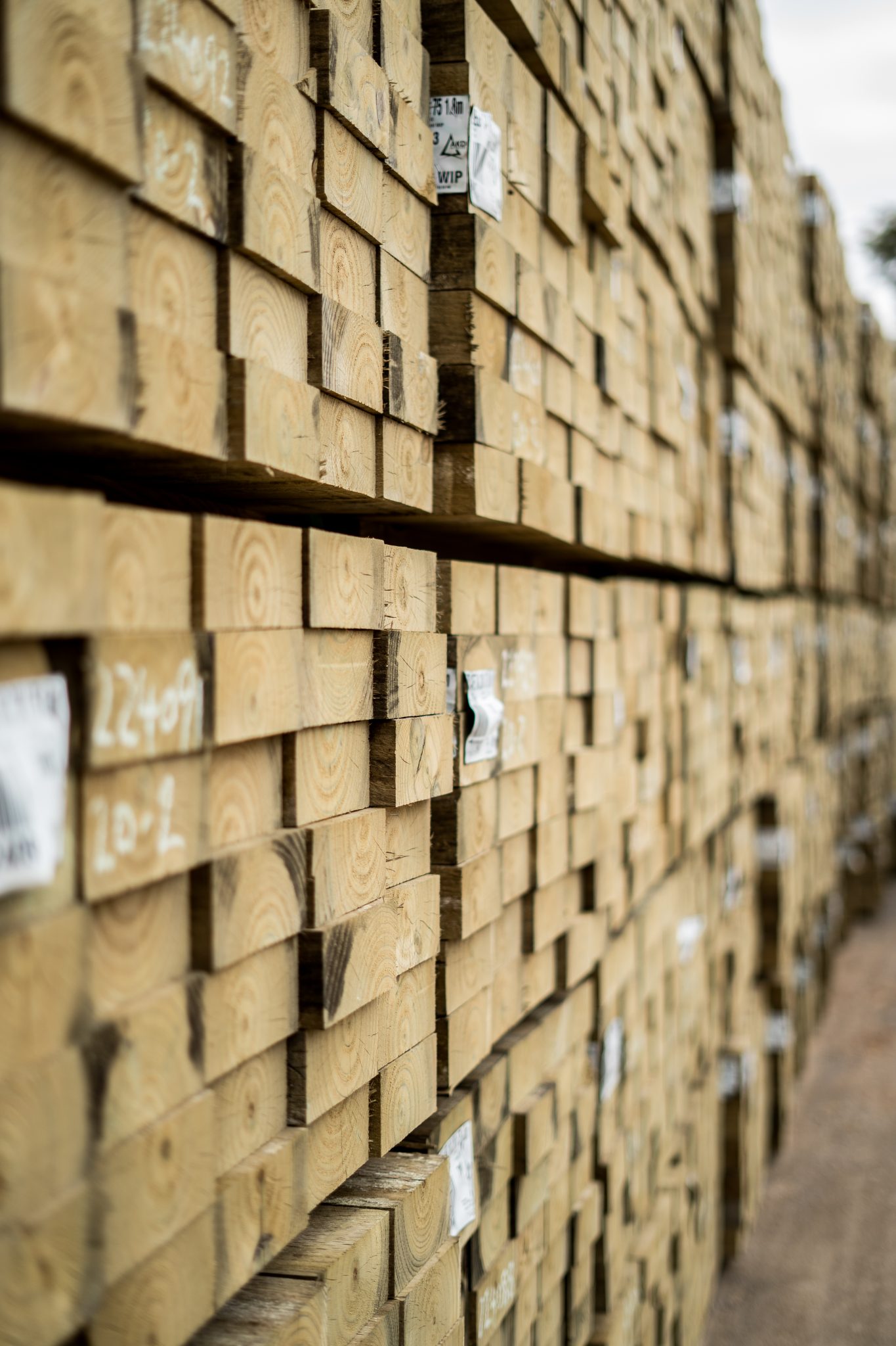 Welcoming HPP to the AKD team - AKD