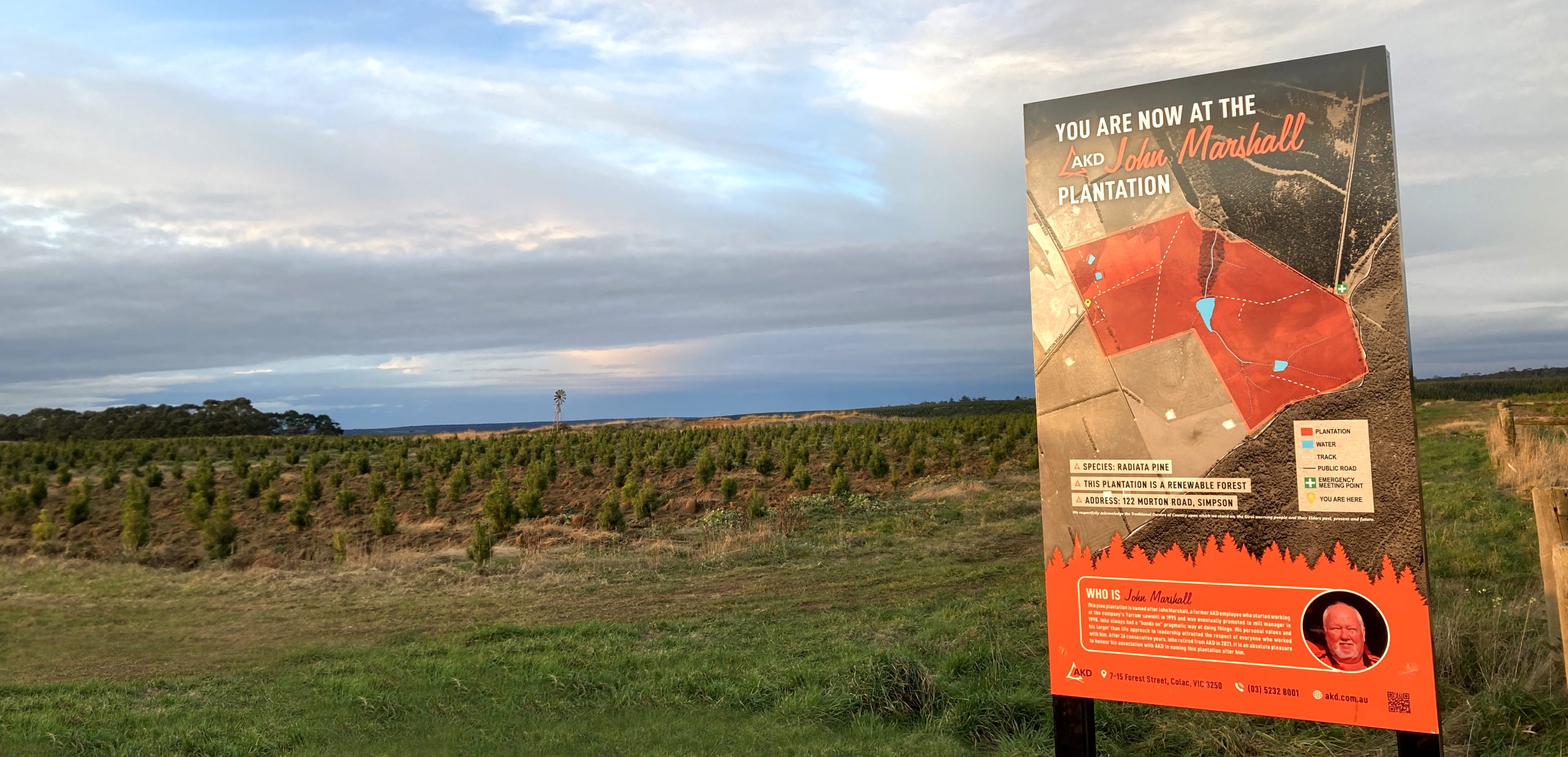 A plantation for a Yarram icon - AKD