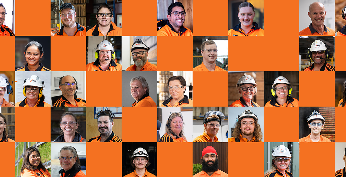 AKD - Integrated Forestry and Timber Processing